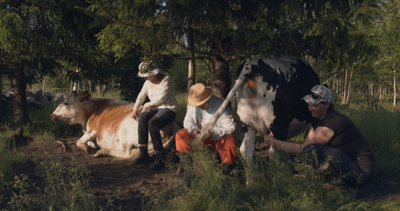 Lyhyesti - Suomen elokuvasäätiö