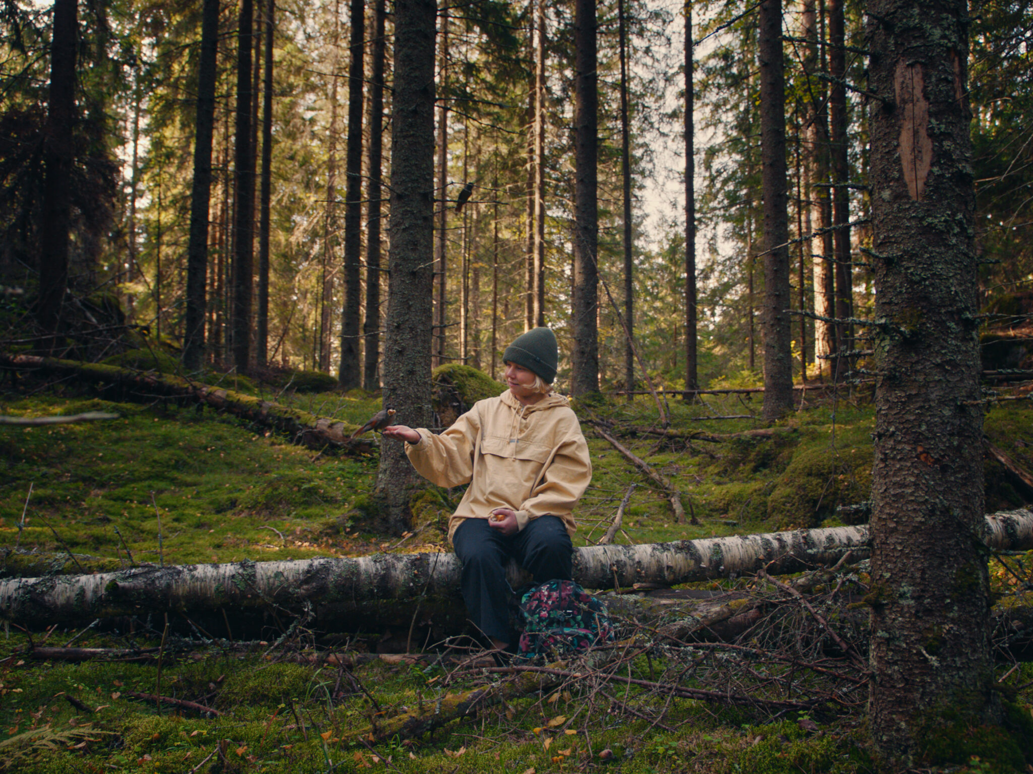 Finnish documentary films and producers in CPH:DOX - Suomen elokuvasäätiö