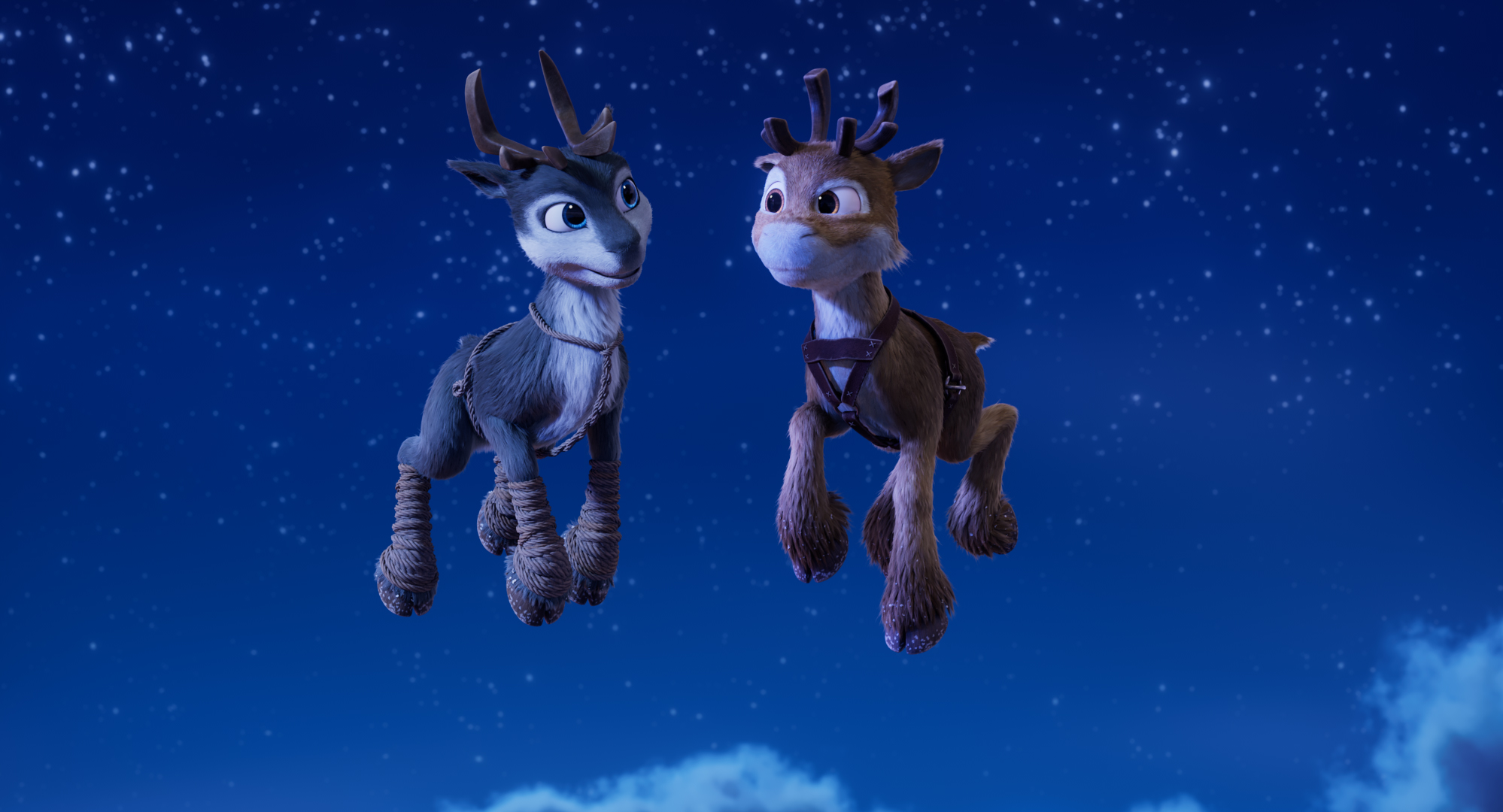 Niko – Beyond the Northern Lights sold to over 100 countries - Suomen ...